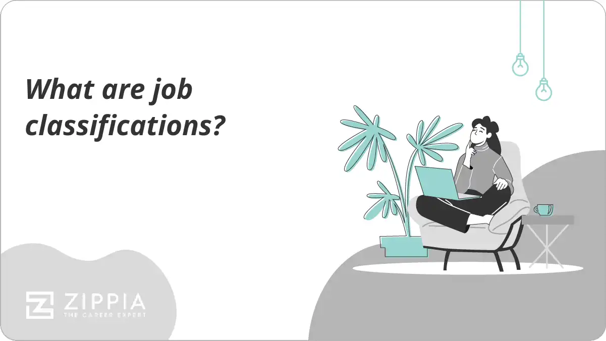 What are job classifications? - Zippia