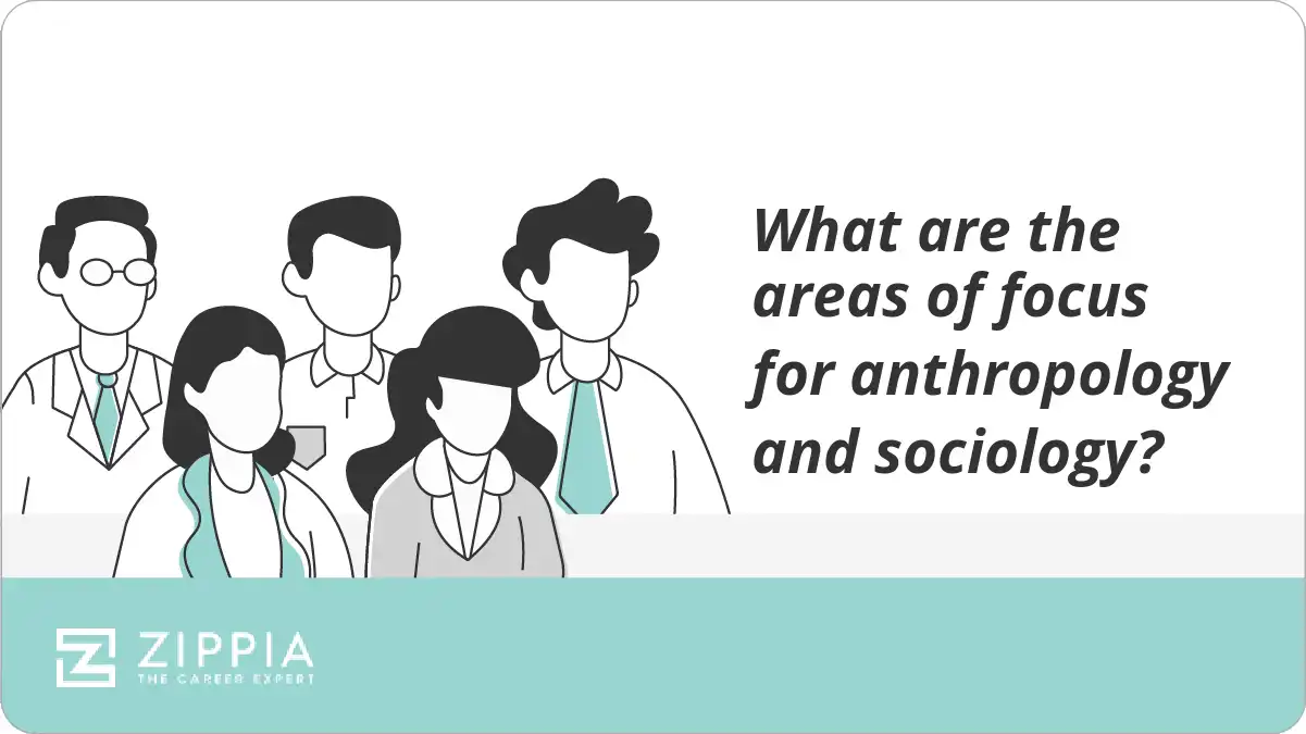 What are the areas of focus for anthropology and sociology? - Zippia