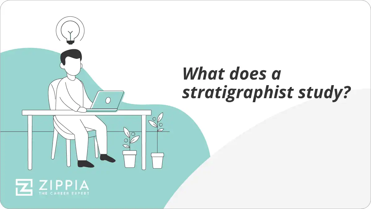 What does a stratigraphist study? - Zippia
