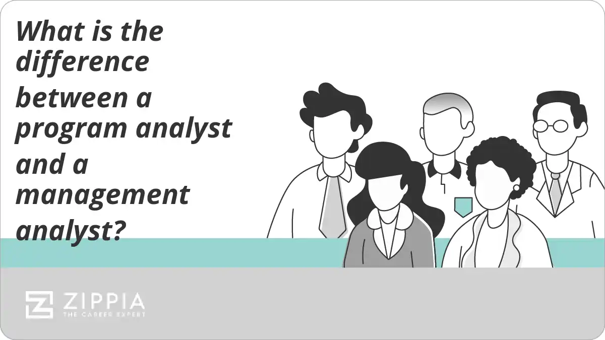What is the difference between a program analyst and a management ...
