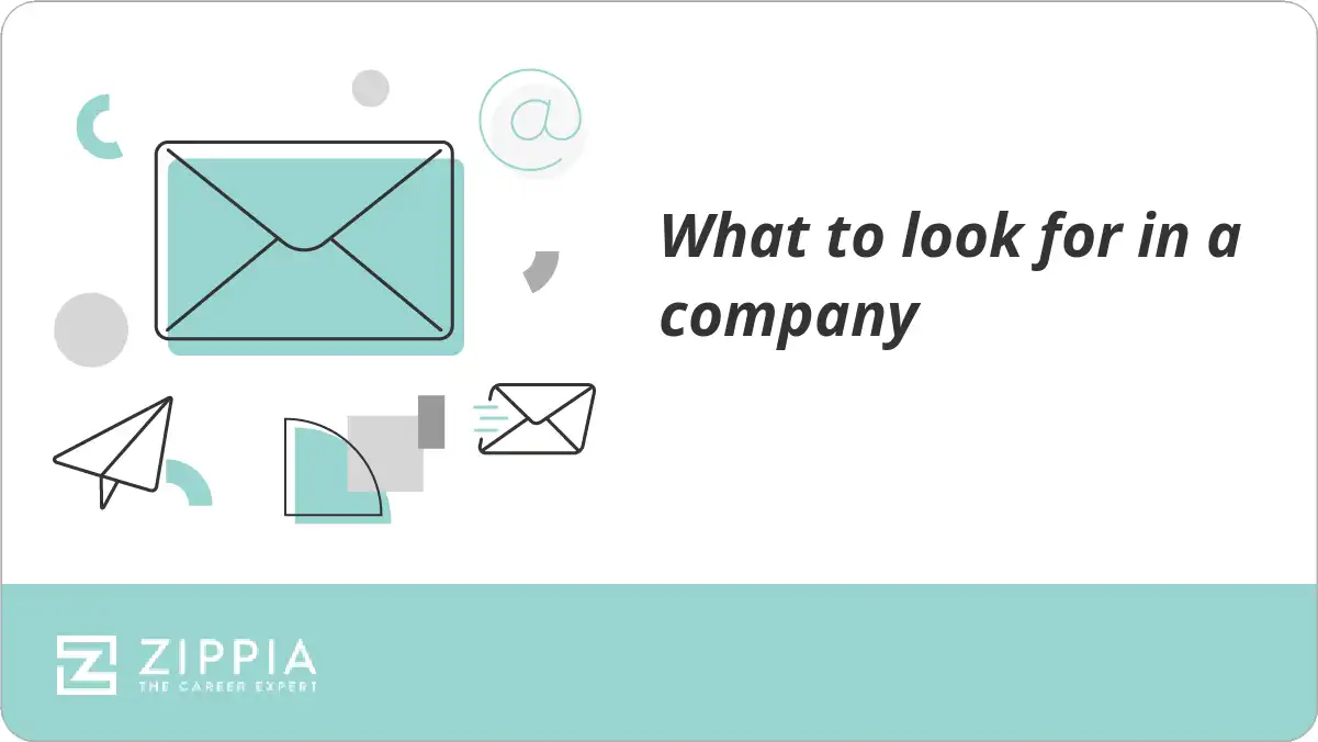 What to look for in a company - Zippia