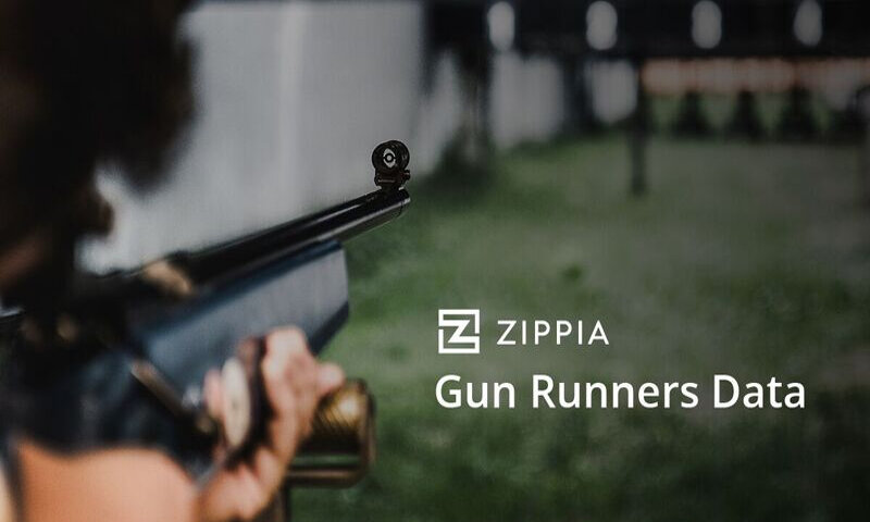 These Are the Gun Lobby's Favorites States - Zippia